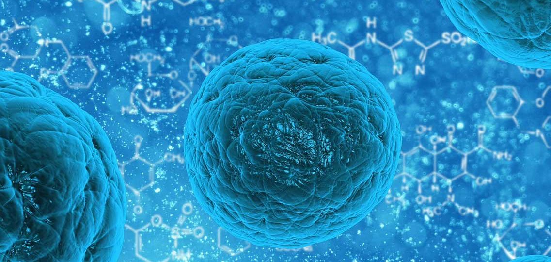 Tot ce trebuie să știți despre celulele stem - StemCellTreatmentNow